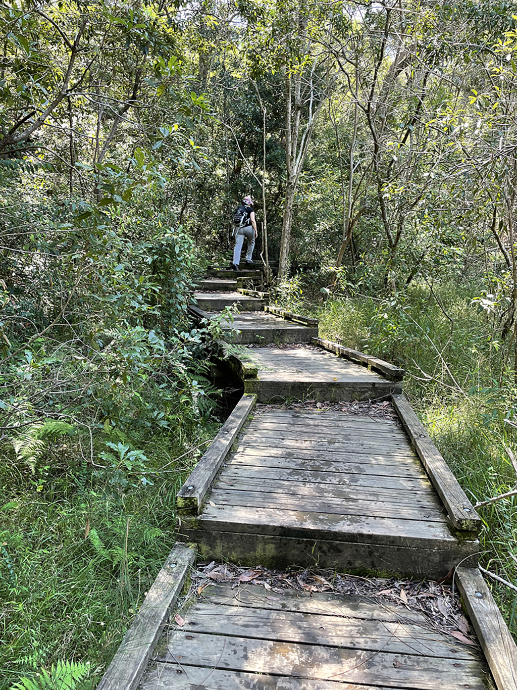 Getting Started on the Great North Walk – Escape and Explore