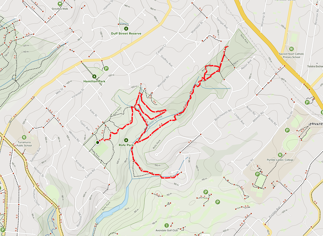 Sheldon Forest Walk – Escape and Explore