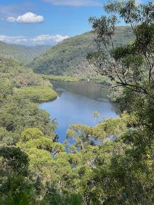 Berowra to Berowra | GNW – Escape and Explore
