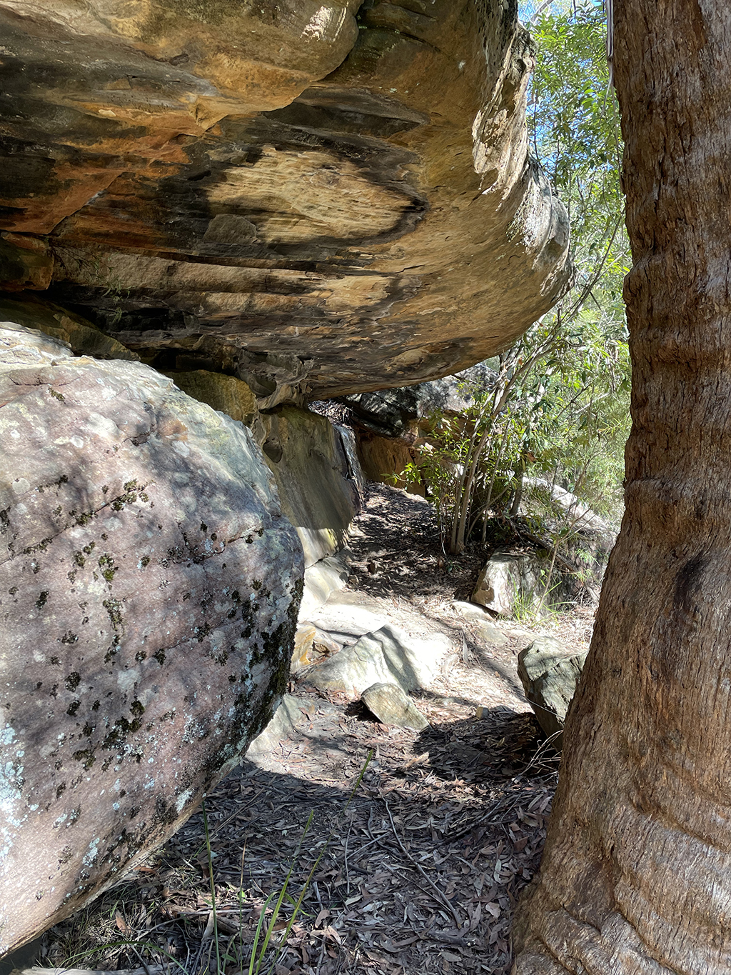 Bobbin Head – Escape and Explore