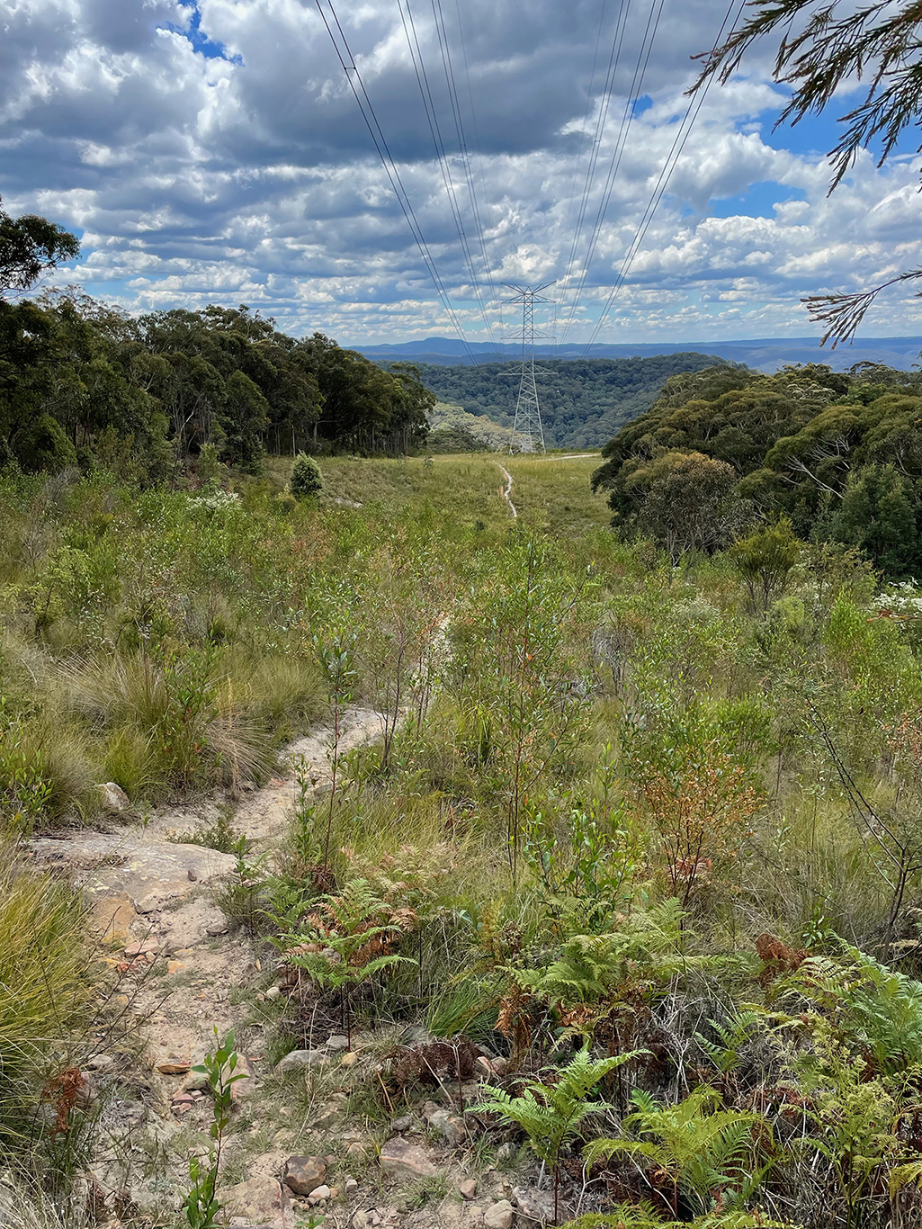 Bumble Dray Track – Escape and Explore