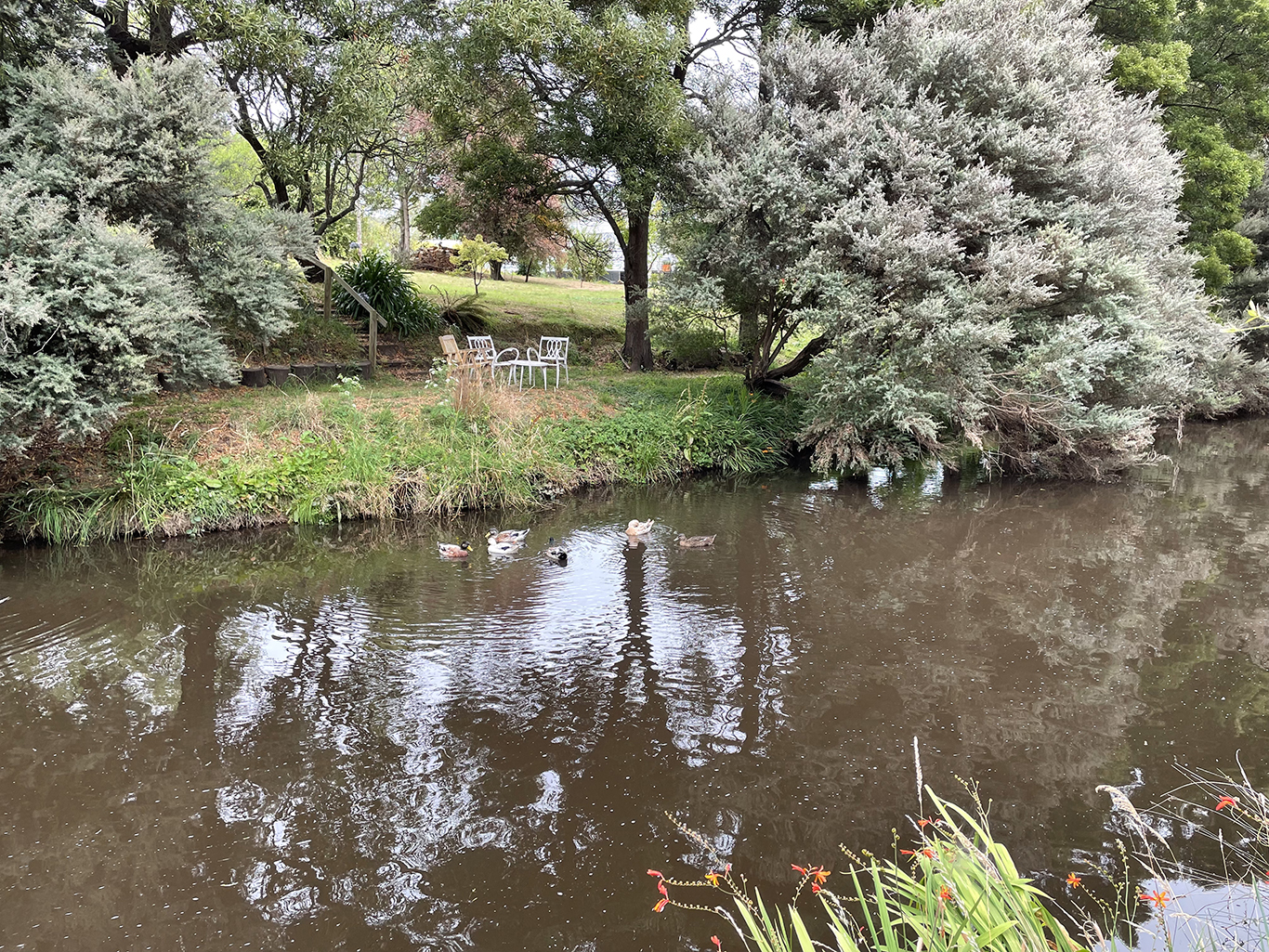 Platypus Walk – Escape and Explore