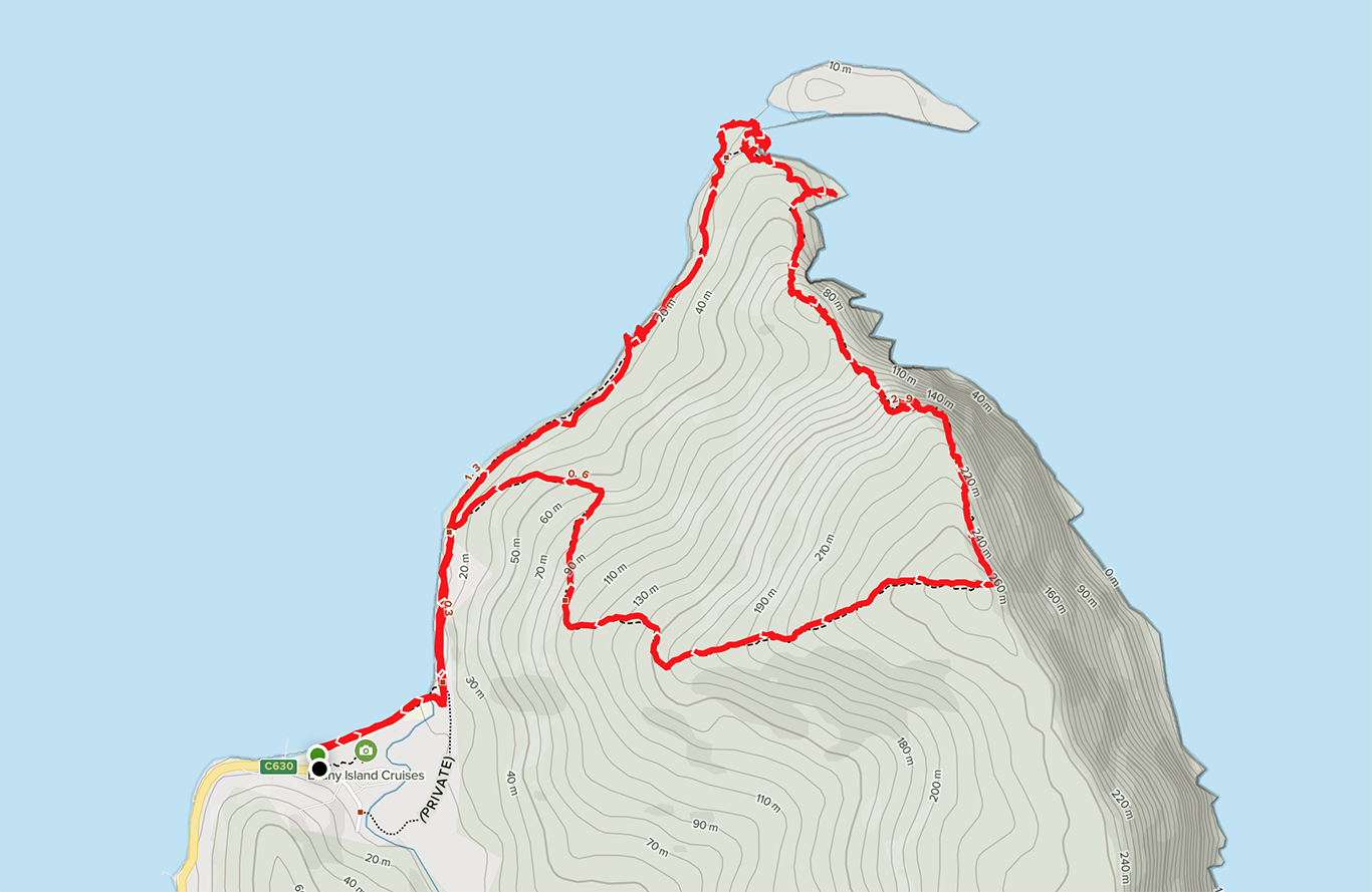 Fluted Cape – Escape and Explore