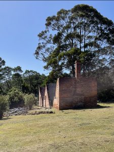 Painted Cliffs – Escape and Explore