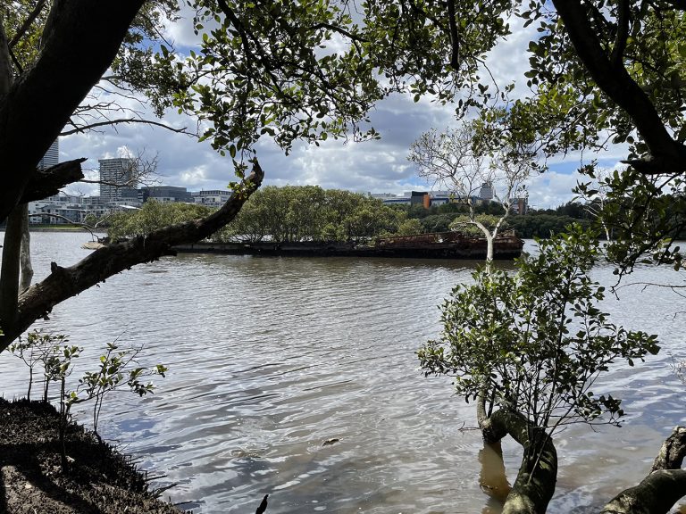 Homebush Bay Shipwrecks – Escape and Explore