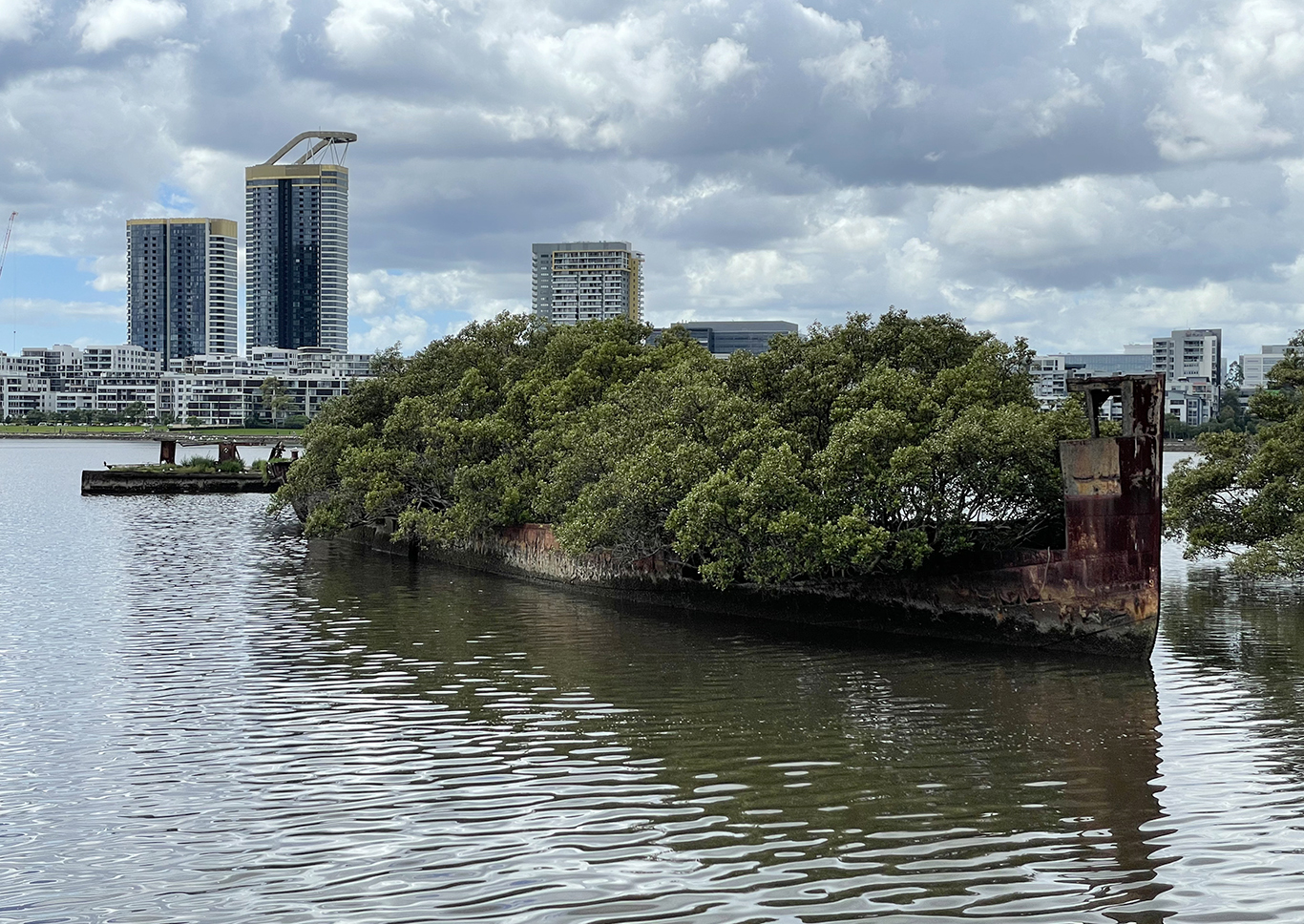 Homebush Bay Shipwrecks – Escape and Explore