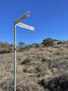 The Bridle Track – Escape and Explore