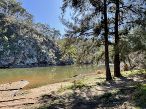 The Bridle Track – Escape and Explore