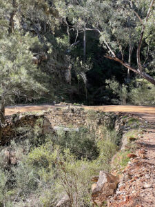 The Bridle Track – Escape and Explore