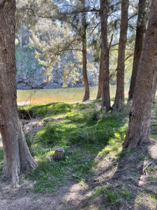 The Bridle Track – Escape and Explore